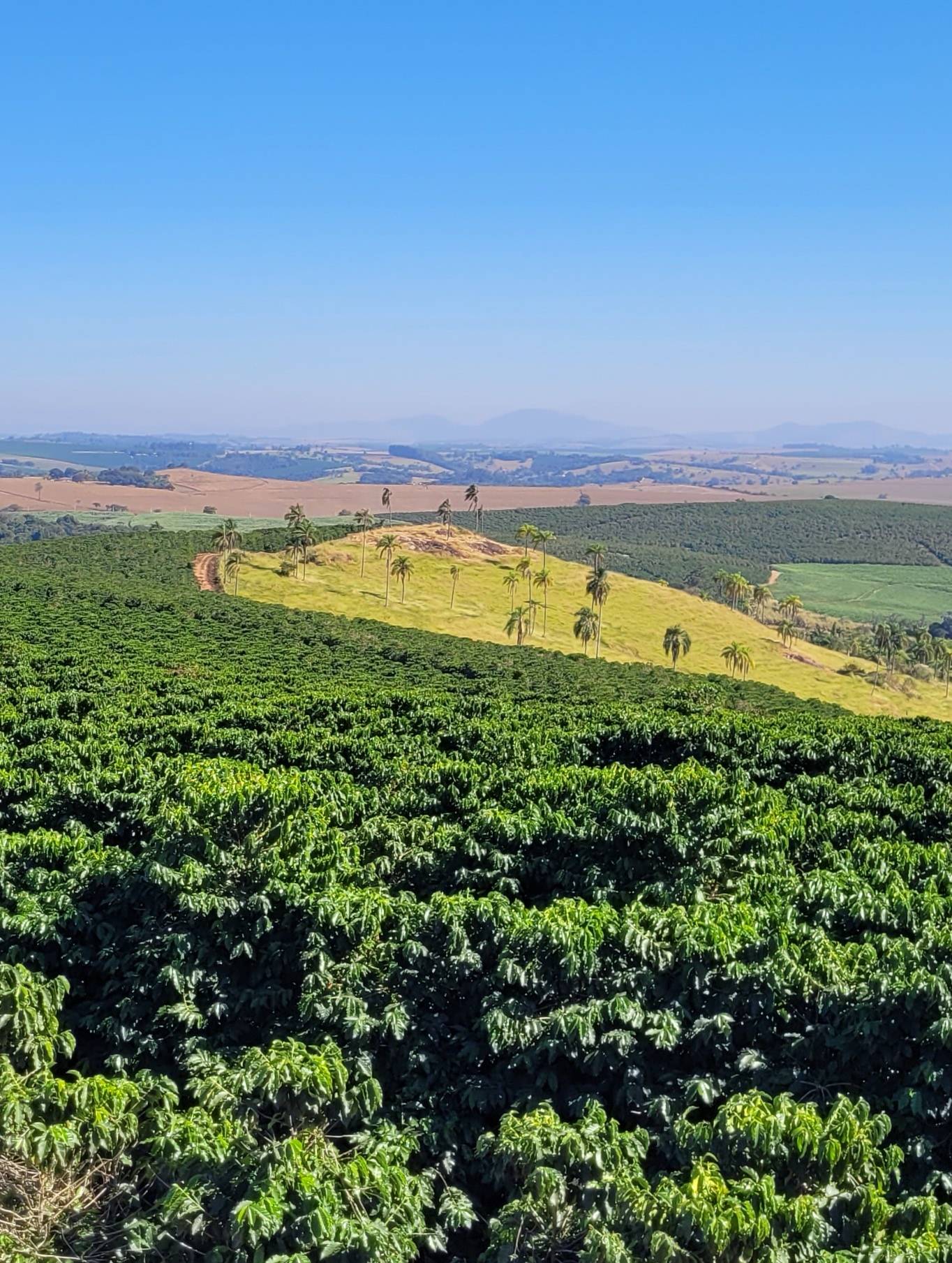 Trip to Fazenda Monte Alegre: a unique experience in the heart of Minas ...